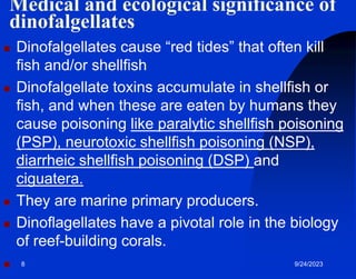 algae 11.ppt