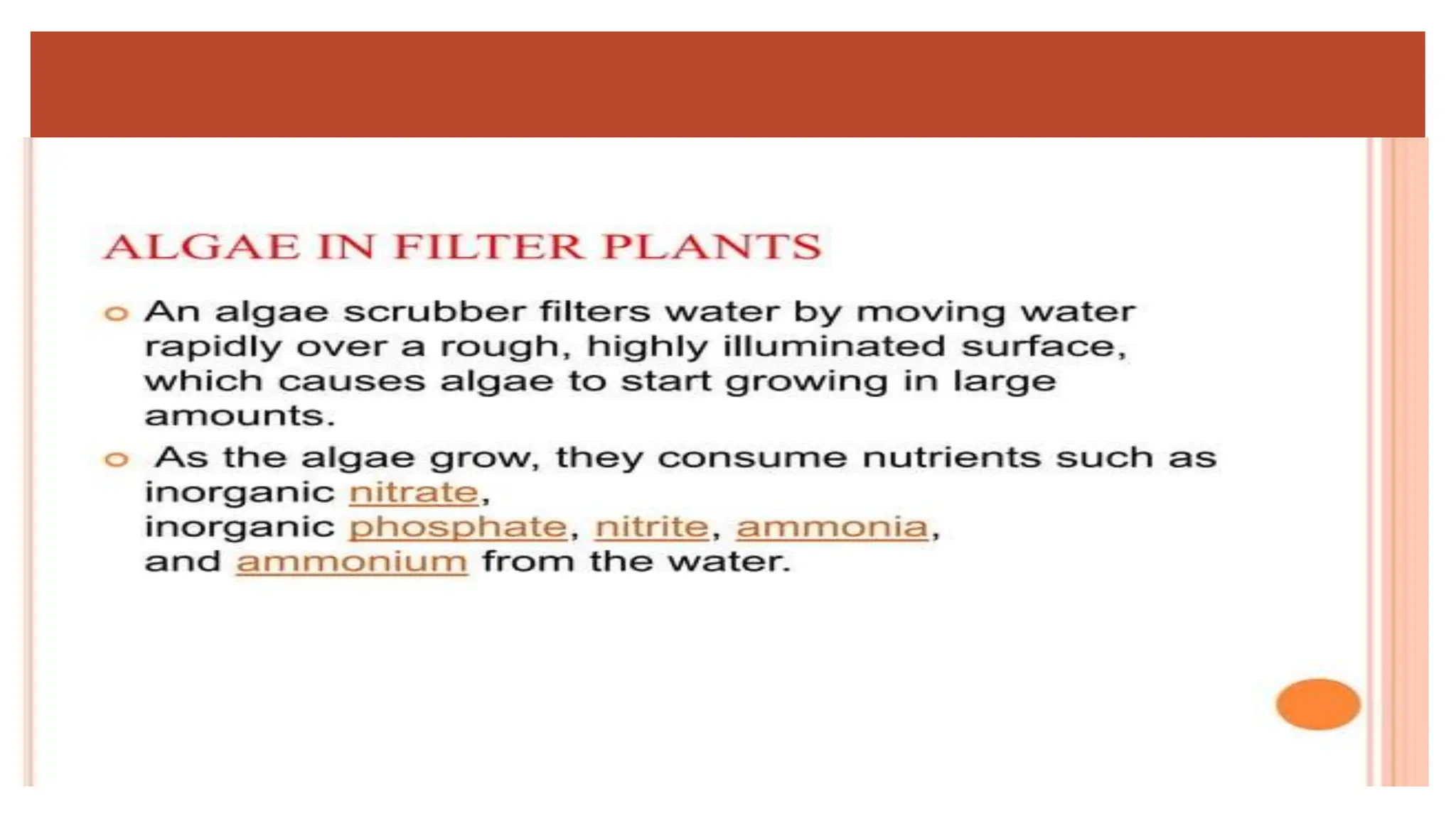 Algae biology, taxonomy and application , important | PDF