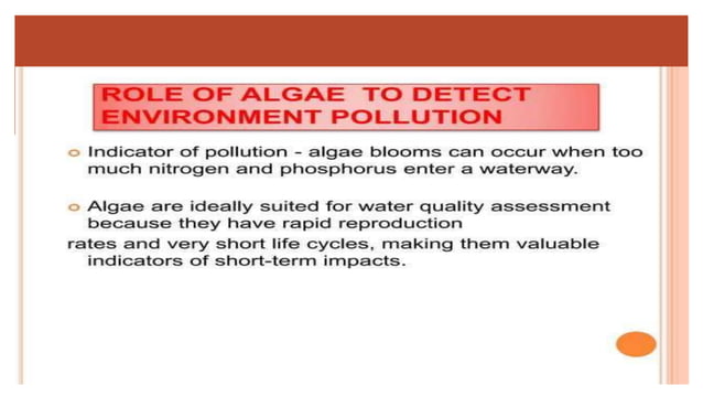 Algae biology, taxonomy and application , important | PDF