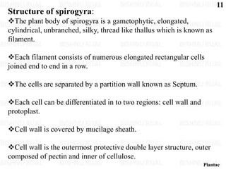 Algae (2).pdf this is the biology note of algae which will help to ...