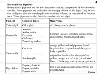 Algae (2).pdf this is the biology note of algae which will help to ...