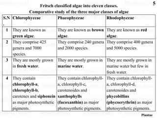 Algae (2).pdf this is the biology note of algae which will help to ...