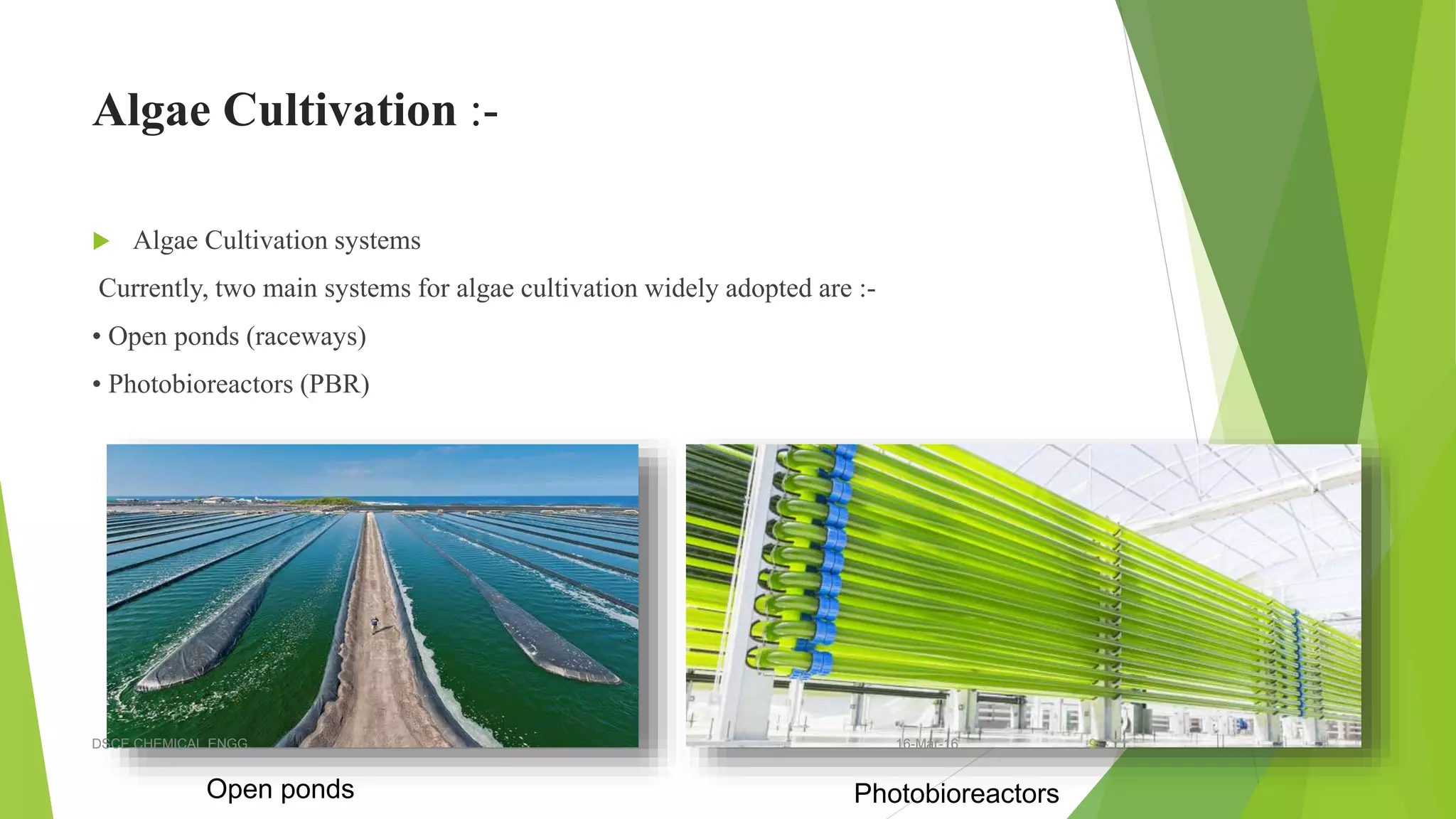 Algae fuel | PPT