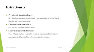 Algae fuel | PPT