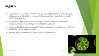Algae fuel | PPTX
