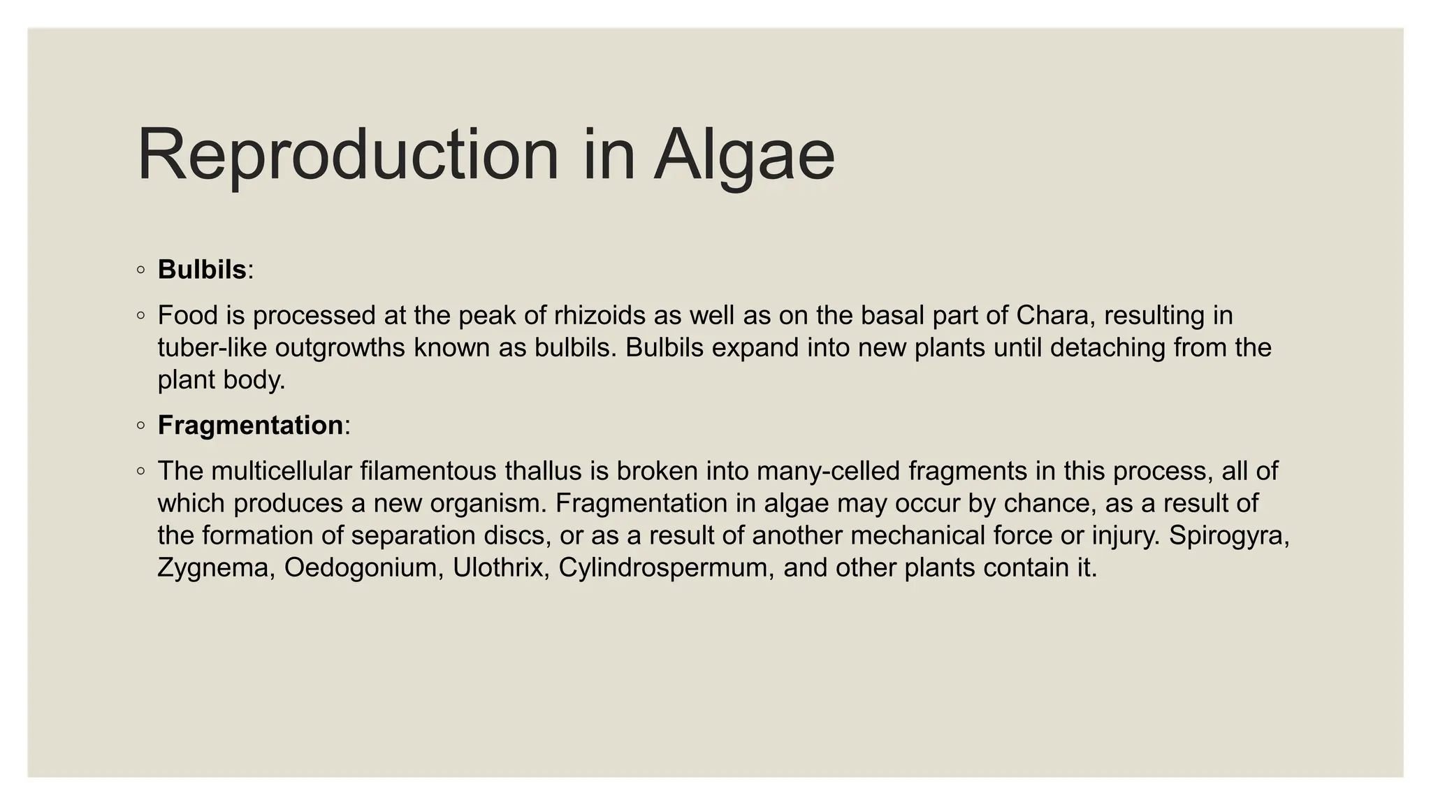 Algae Introduction and industrial important | PPTX