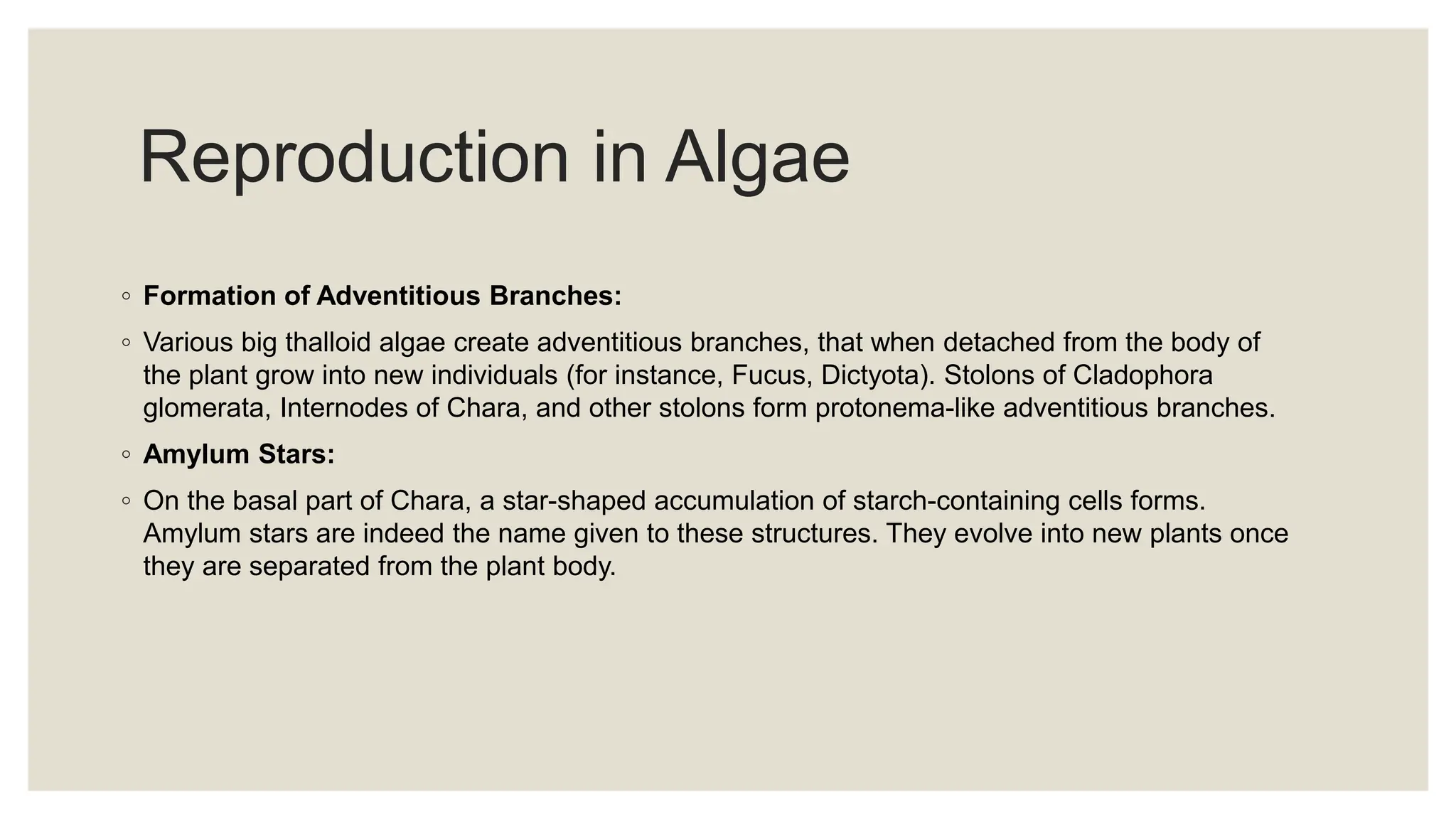 Algae Introduction and industrial important | PPTX