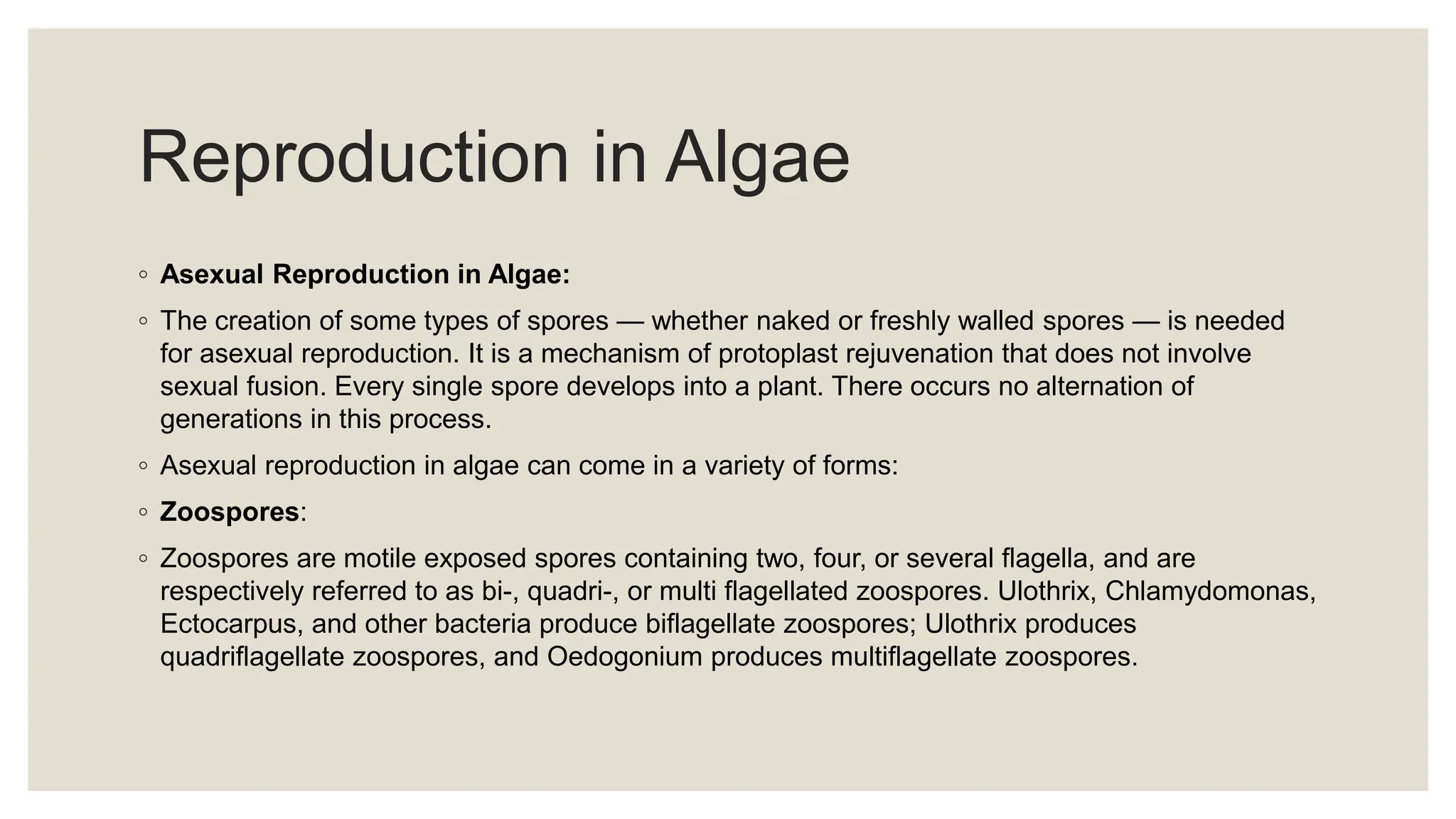 Algae Introduction and industrial important | PPTX