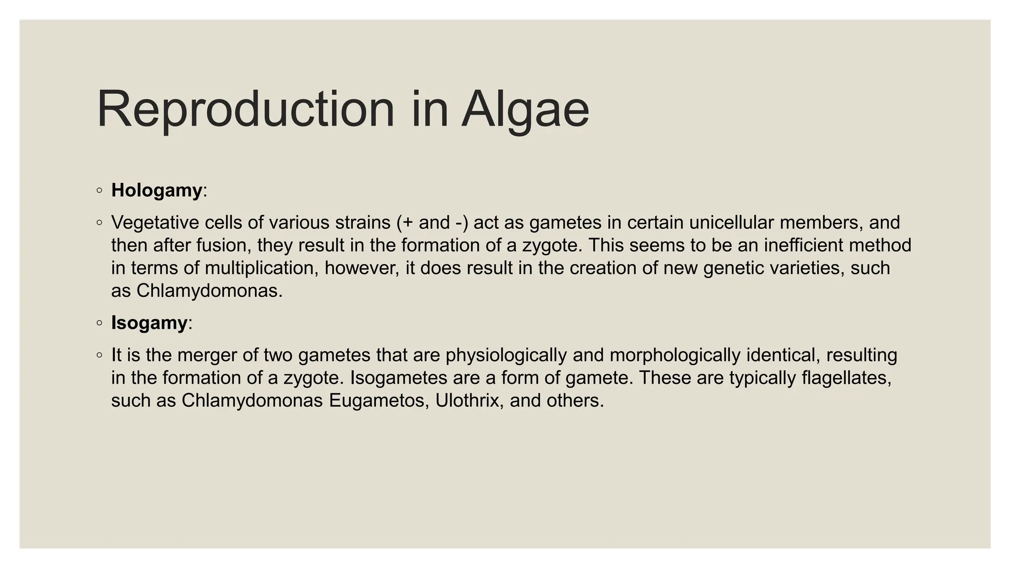 Algae Introduction and industrial important | PPTX
