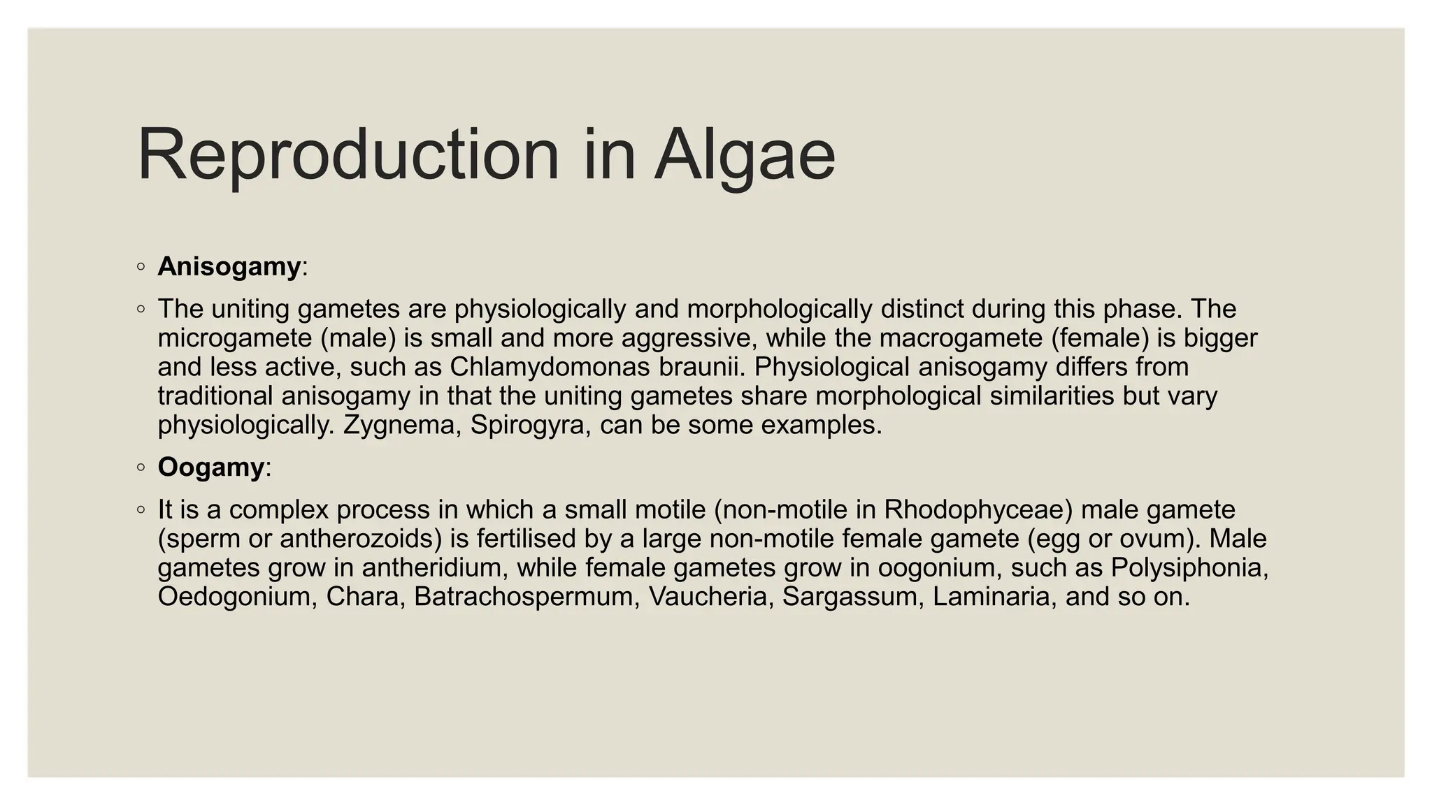 Algae Introduction and industrial important | PPTX