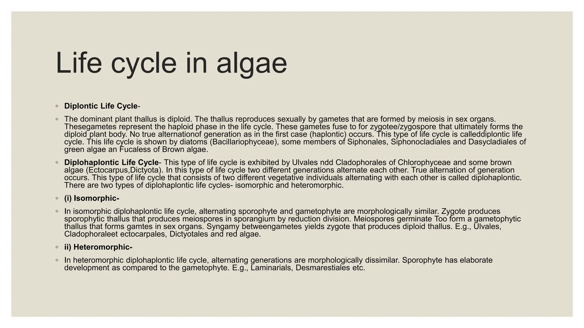 Algae Introduction and industrial important | PPTX