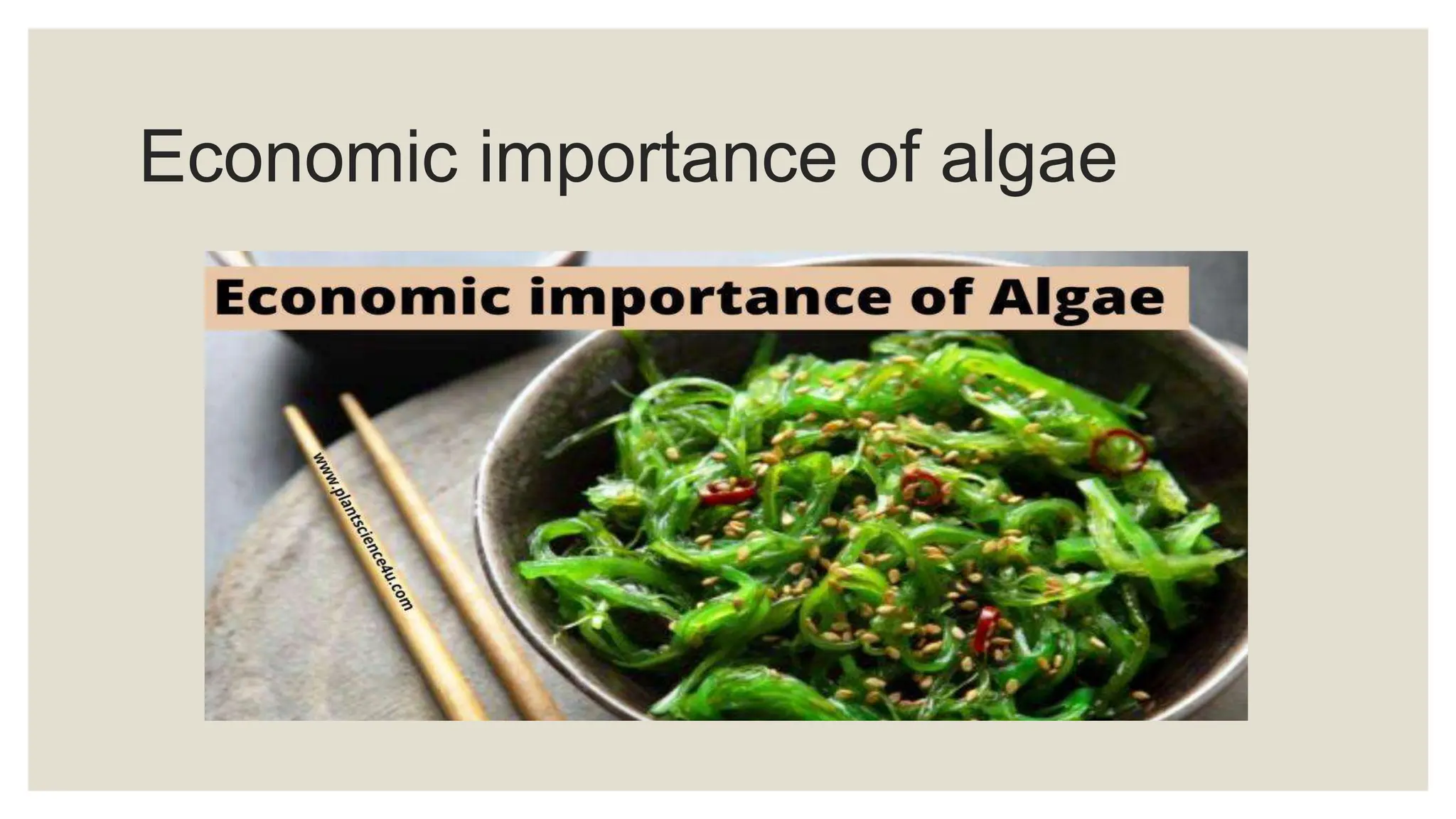 Algae Introduction and industrial important | PPTX