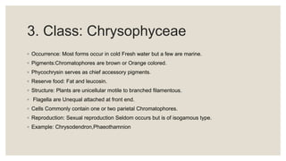 Algae Introduction and industrial important | PPTX