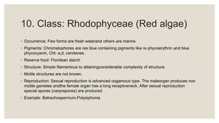 Algae Introduction and industrial important | PPTX
