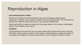 Algae Introduction and industrial important | PPTX