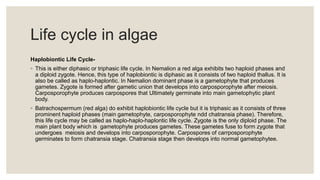 Algae Introduction and industrial important | PPTX