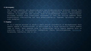 ALGAE Advance Microbiology.pptx