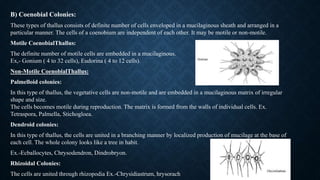 ALGAE Advance Microbiology.pptx