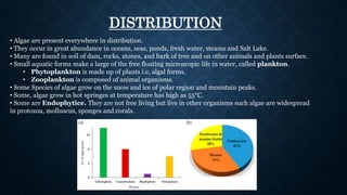 ALGAE Advance Microbiology.pptx