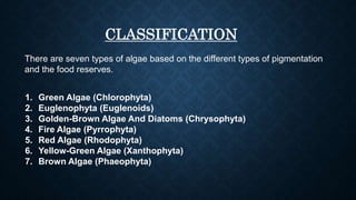 ALGAE Advance Microbiology.pptx