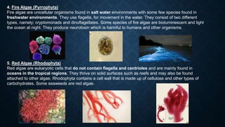 ALGAE Advance Microbiology.pptx