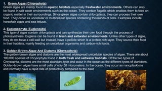 Golden Algae Examples