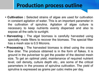 Algae and bacteria scp | PPTX