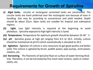Algae and bacteria scp | PPTX