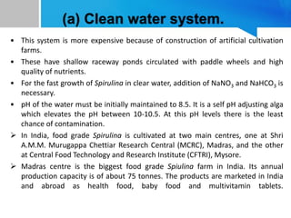 Algae and bacteria scp | PPTX