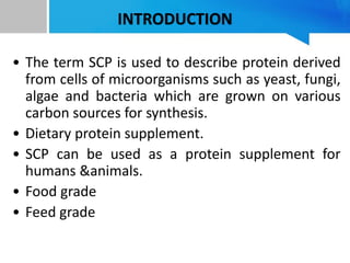 Algae and bacteria scp | PPTX