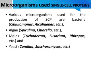 Algae and bacteria scp | PPTX