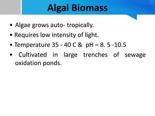Algae and bacteria scp | PPTX