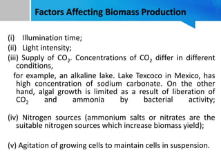 Algae and bacteria scp | PPTX