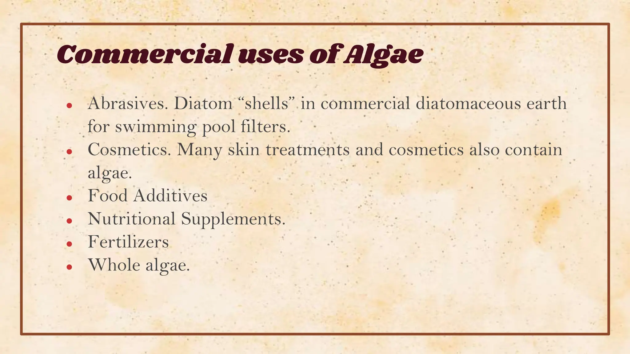 Algae_And_Fungi Microbiology presentation.pptx