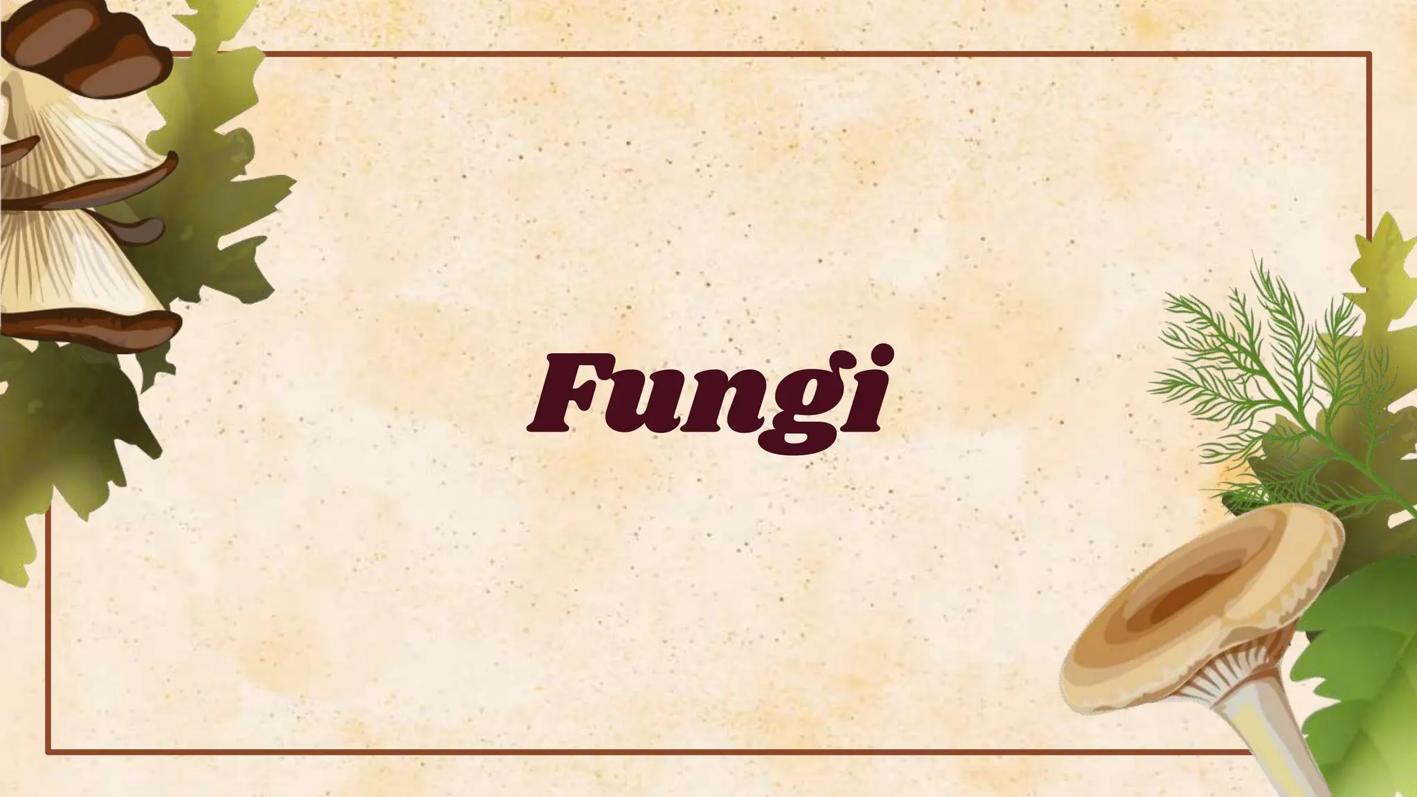 Algae_And_Fungi Microbiology presentation.pptx