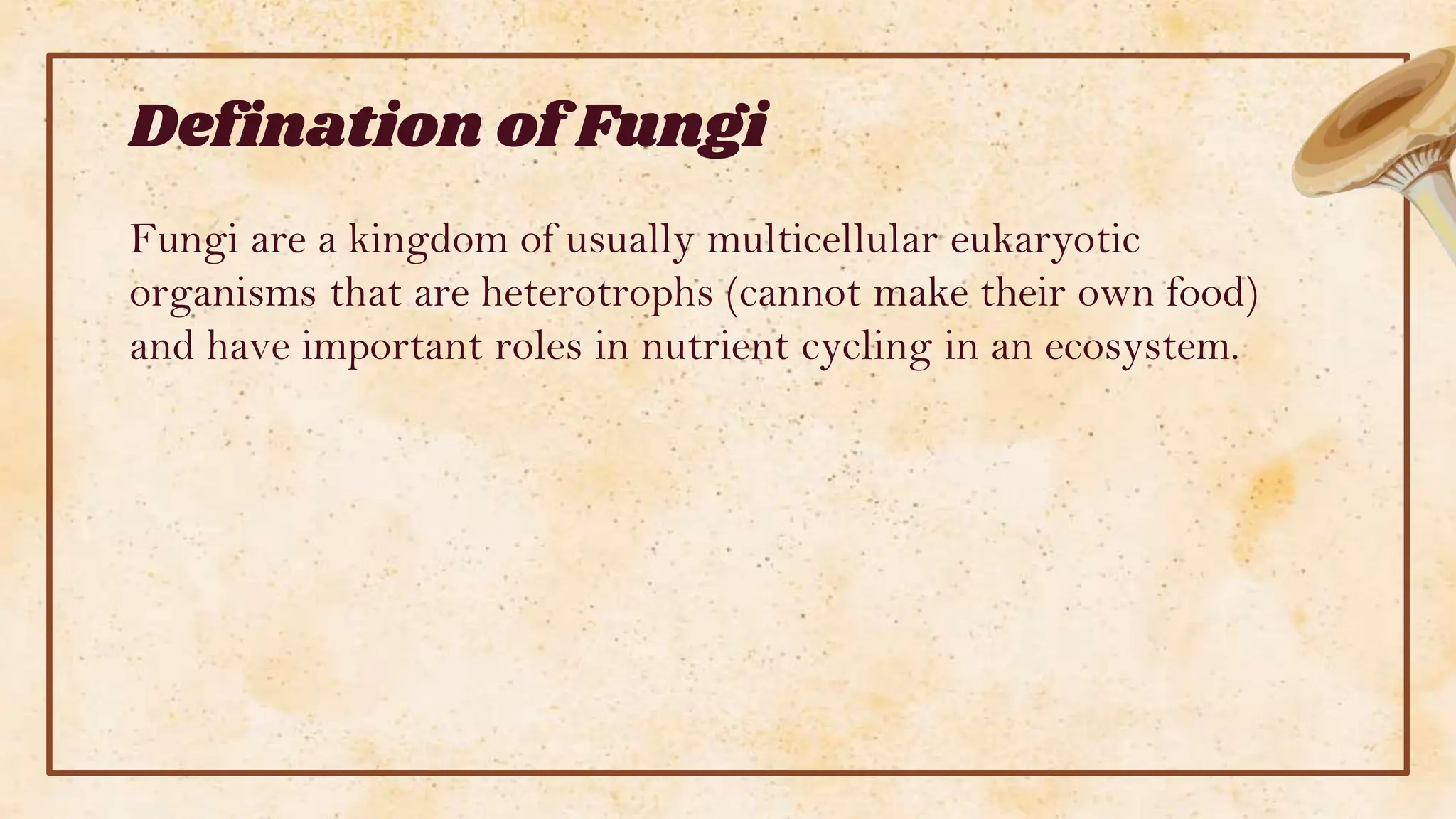 Algae_And_Fungi Microbiology presentation.pptx