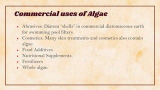 Algae_And_Fungi Microbiology presentation.pptx
