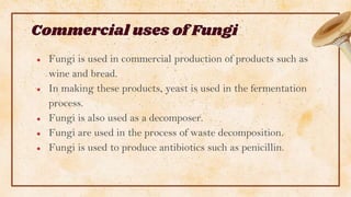 Algae_And_Fungi Microbiology presentation.pptx