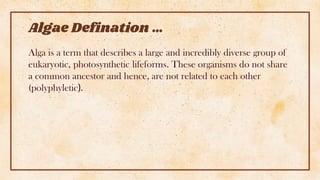 Algae_And_Fungi Microbiology presentation.pptx