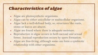 Algae_And_Fungi Microbiology presentation.pptx