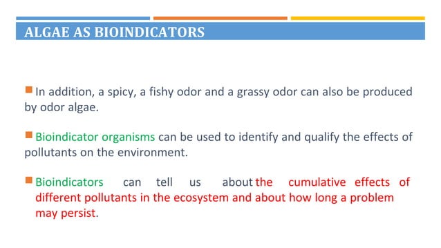 Use of Algae for waste water treatment | PPT