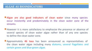 Use of Algae for waste water treatment | PPT