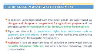 Use of Algae for waste water treatment | PPT