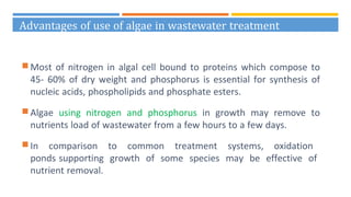 Use of Algae for waste water treatment | PPT