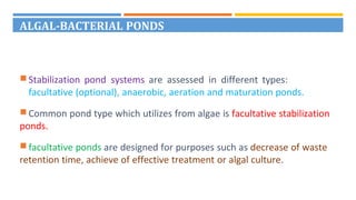 Use of Algae for waste water treatment | PPT