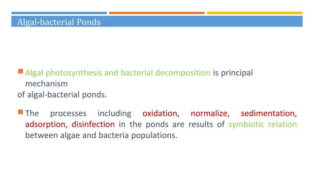 Use of Algae for waste water treatment | PPT