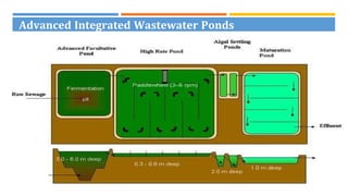 Use of Algae for waste water treatment | PPT