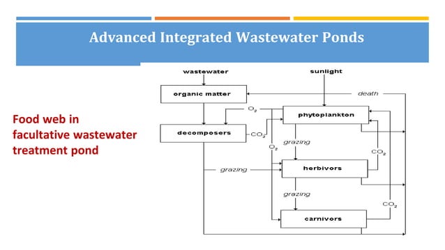 Use of Algae for waste water treatment | PPT