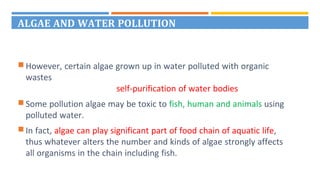 Use of Algae for waste water treatment | PPT