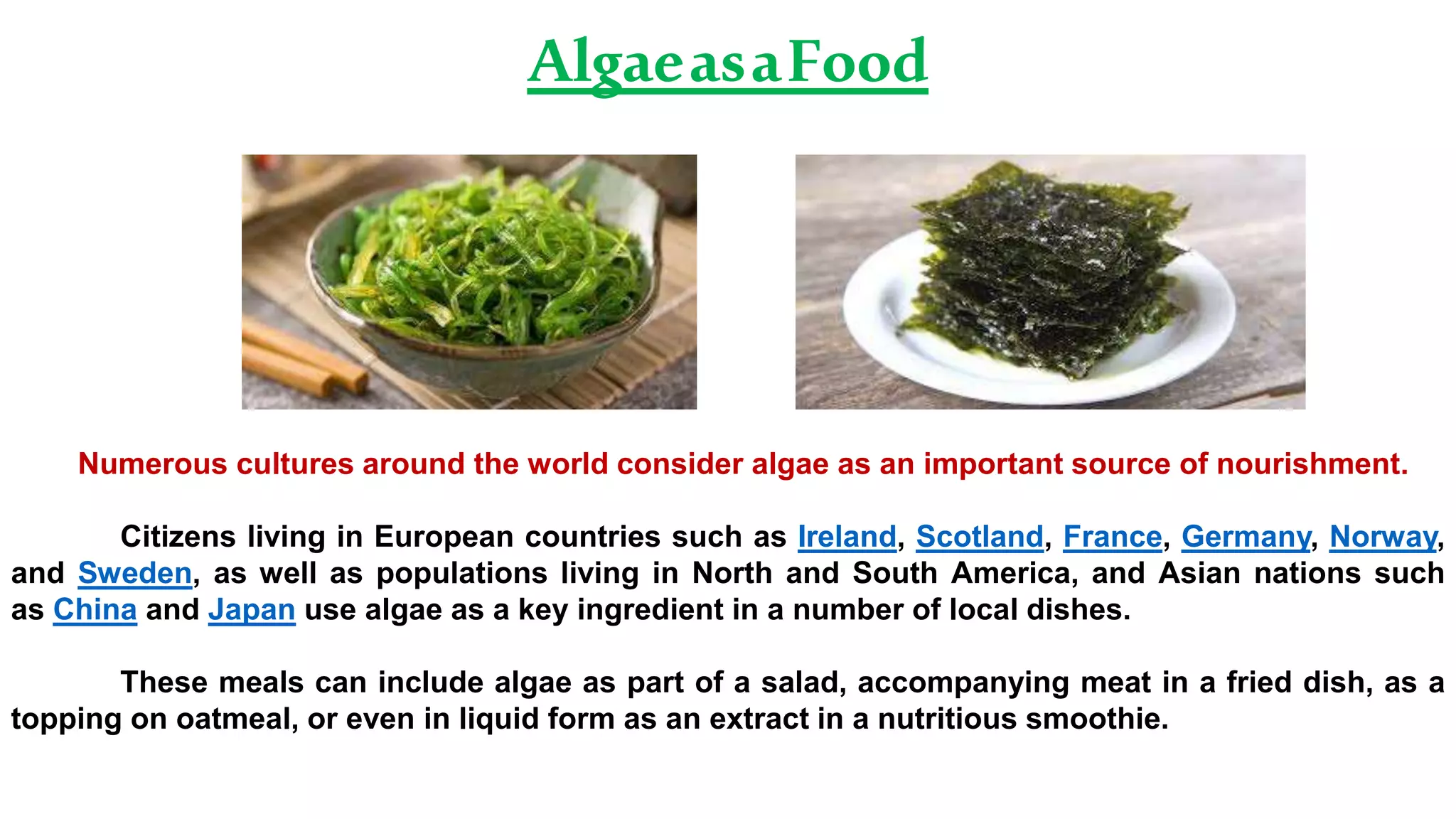 Algae as a Food | PPTX